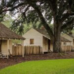 Majestic Oak Alley Plantation Tour - Who Should Book This Tour?