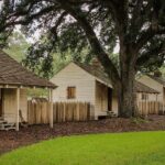 Majestic Oak Alley Plantation Tour - Practical Tips for Visitors