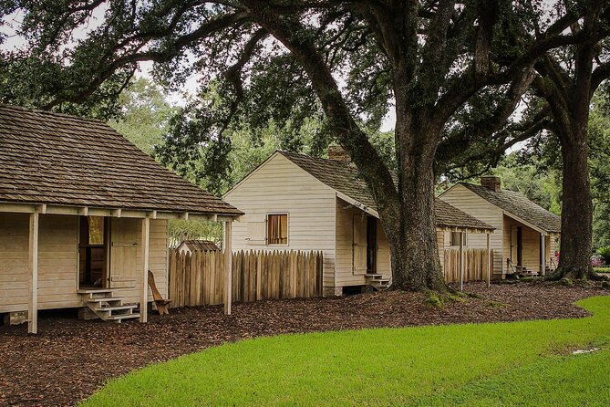 Majestic Oak Alley Plantation Tour - Practical Tips for Visitors