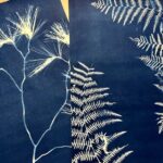 Make Sun Prints in the Desert - Price and Value