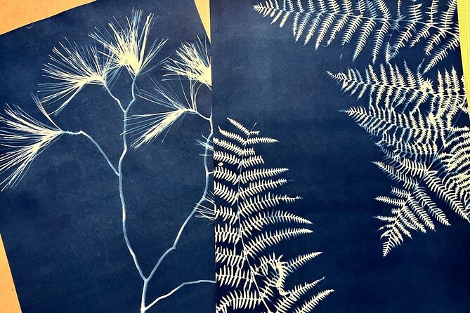 Make Sun Prints in the Desert - Price and Value