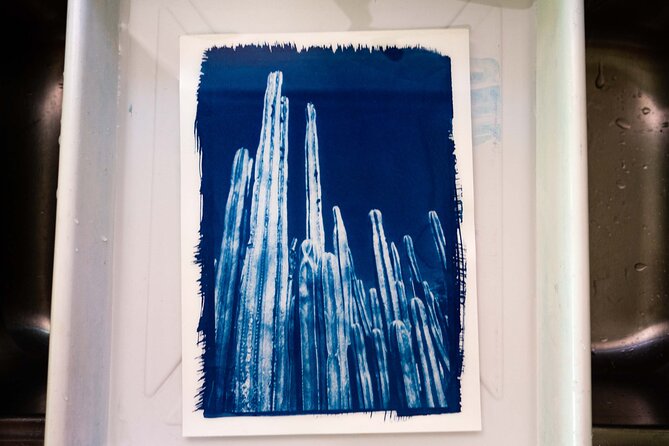 Make Sun Prints in the Desert - Why You Should Book This Experience
