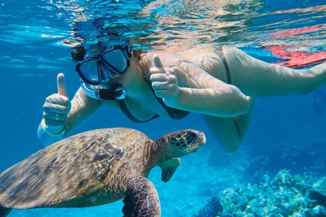 Makena-Wailea Explorer Trip in Maui - The Sum Up: Is It Worth It?