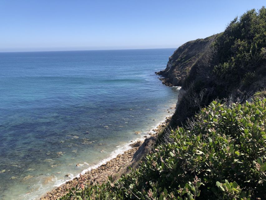 Malibu Beach: Surf Tour in a Vintage VW Van - Pricing and Value