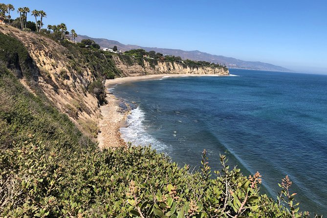 Malibu Beach Surf Tour in a Vintage VW Van - Practical Considerations: What You Need to Know