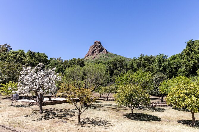 Malibu: Guided Vineyard Hike with Photo Stops and Wine - FAQ