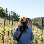 Malibu: Guided Vineyard Hike with Photo Stops and Wine - Wildlife and Native History