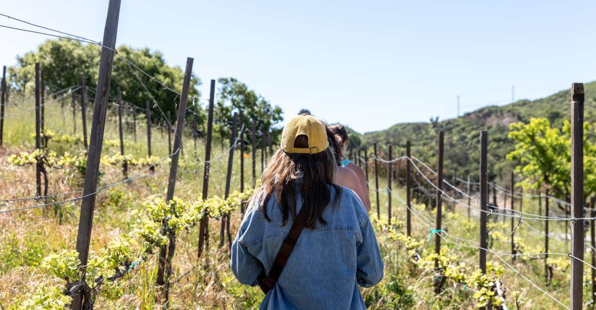 Malibu: Guided Vineyard Hike with Photo Stops and Wine - Wildlife and Native History