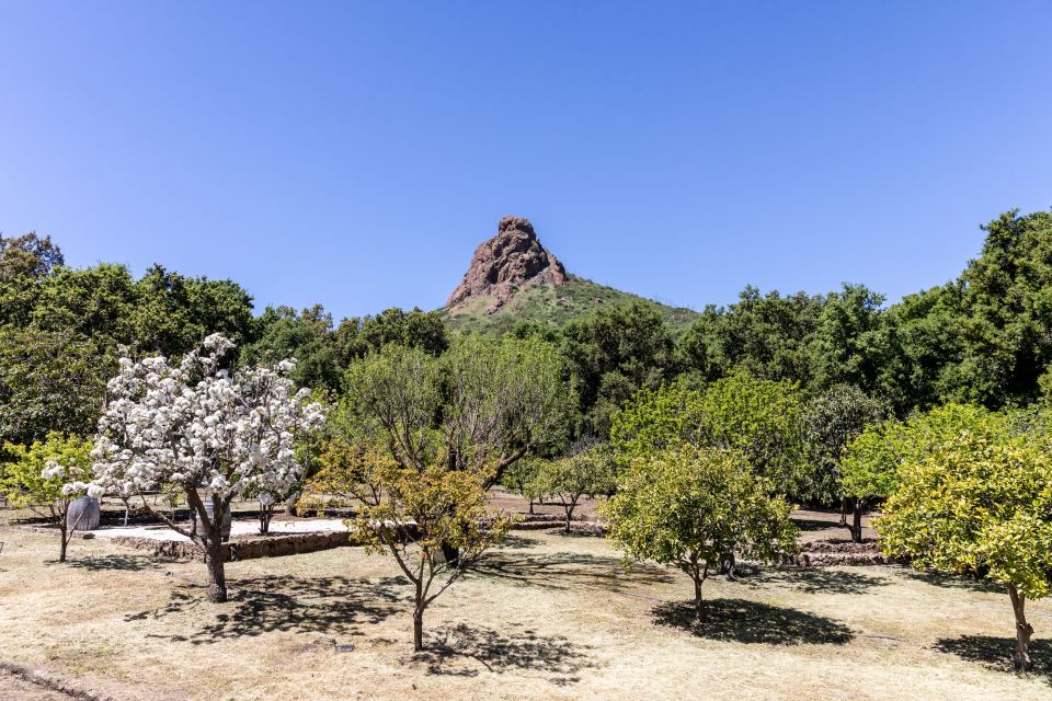 Malibu: Guided Vineyard Hike with Photo Stops and Wine - End of the Hike and Wine Tasting