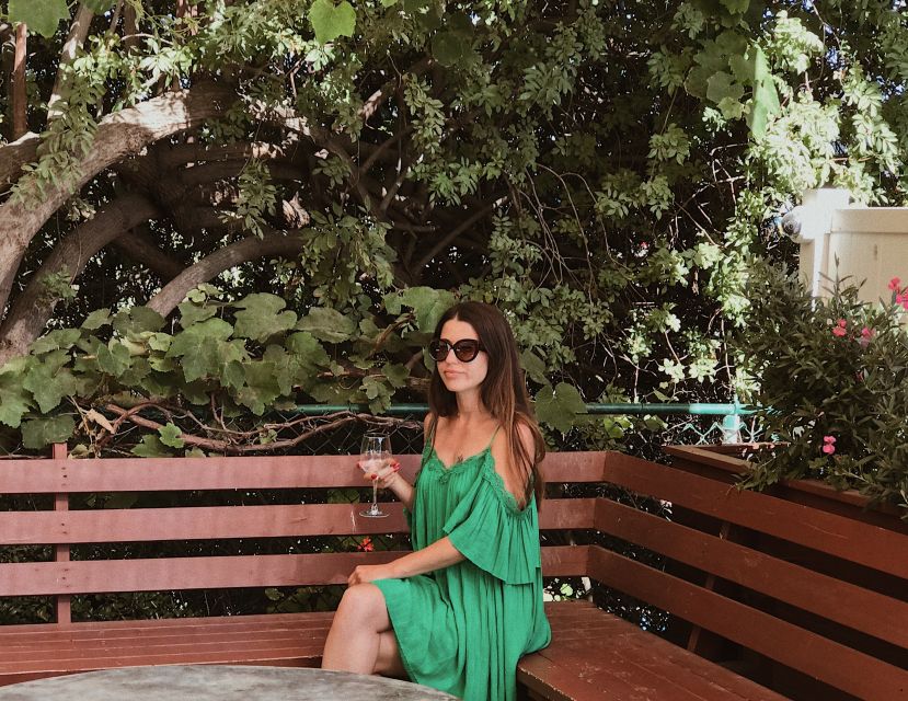 Malibu: Vintage VW Sightseeing Tour and Wine Tasting - Who Will Love This Tour?