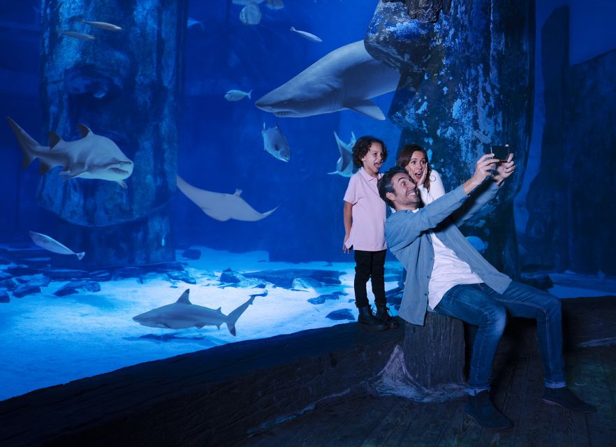 Mall of America: Sea Life Minnesota Aquarium Entry Ticket - Exploring SEA LIFE Minnesota Aquarium: An Underwater Adventure for All Ages