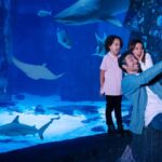 Mall of America: Sea Life Minnesota Aquarium Entry Ticket - The Experience: Highlights and Hidden Gems