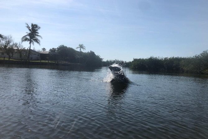 Manatee and Dolphin Kayak Tour - What to Expect on the Tour