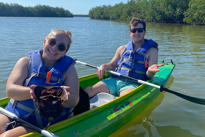 Manatee and Dolphin Kayak Tour - The Sum Up