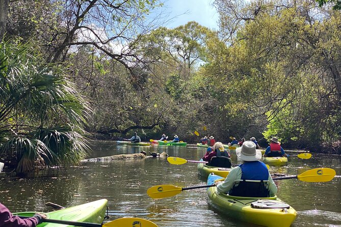 Manatee and Dolphin Kayak Tour - FAQ