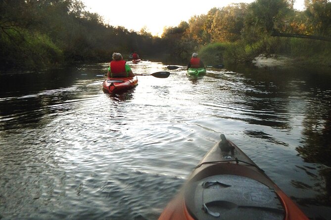 Manatee and Dolphin Kayaking Encounter - The Sum Up: Is It Worth It?