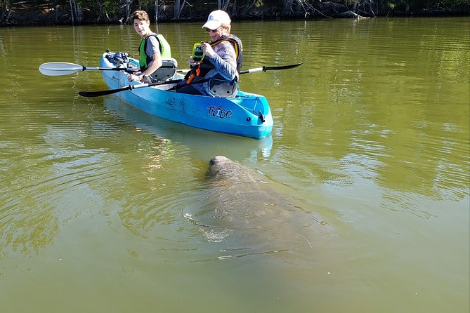 Manatee and Dolphin Kayaking | Wildlife Refuge (Titusville) - The Experience in Detail
