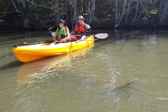 Manatee and Dolphin Kayaking | Wildlife Refuge (Titusville) - The Sum Up