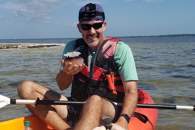 Manatee and Dolphin Kayaking | Wildlife Refuge (Titusville) - FAQs