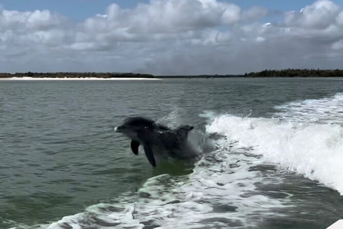 Manatee, Dolphin, and 10,000 Islands Eco Beach Tour by Boat - Authentic Experiences & Honest Feedback