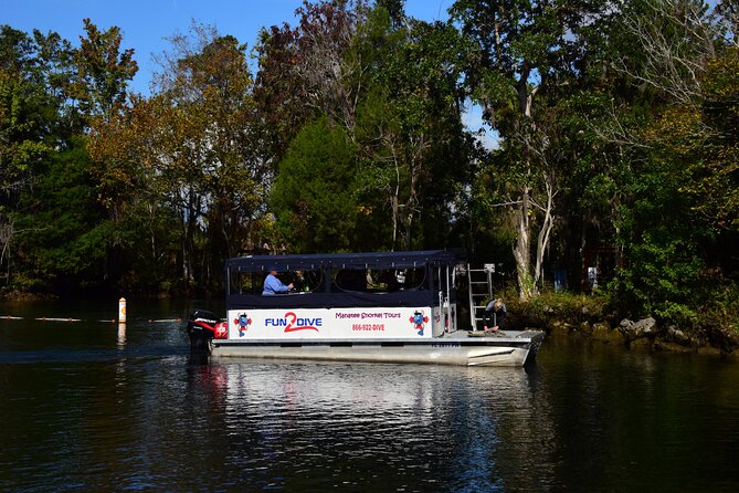 Manatee Snorkel Tour - Small Group - Who Will Love This Tour?