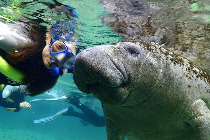 Manatee Swim and Wildlife Park with Upgrade Options from Orlando - Value and Pricing Analysis