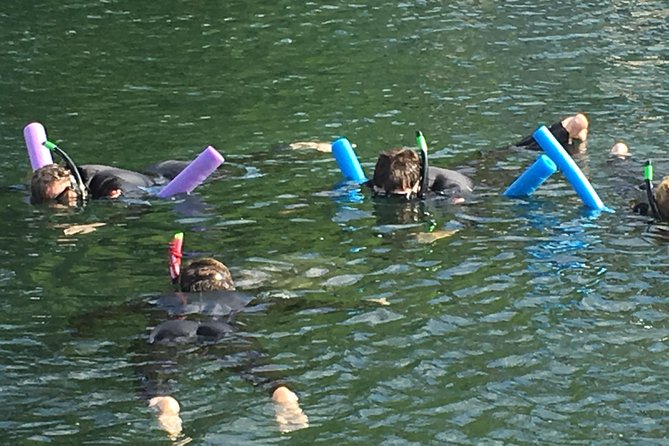 Manatee Swim and Wildlife Park with Upgrade Options from Orlando - Final Reflection