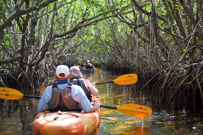 Manatees and Mangrove Tunnels Small Group Kayak Tour - Who Will Love This Tour?
