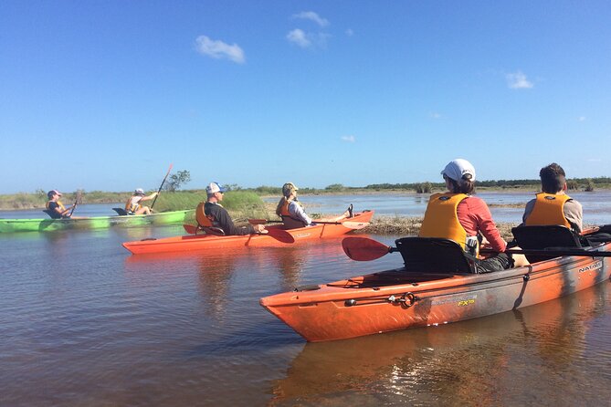 Manatees, Grasslands and Mangroves kayak Tour (Small Group Tour) - In-Depth Experience Breakdown