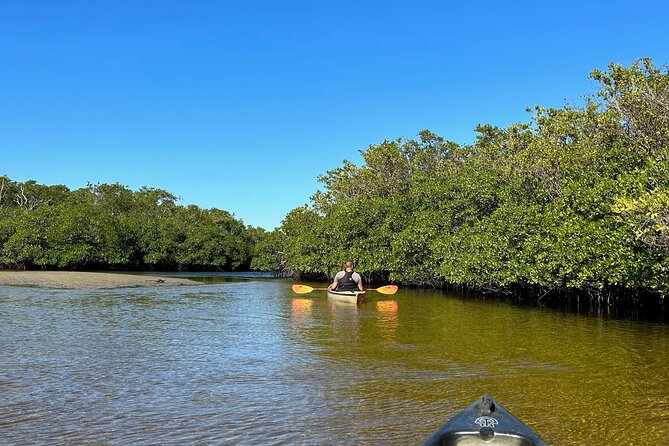 Manatees, Grasslands and Mangroves kayak Tour (Small Group Tour) - Why Choose This Tour?