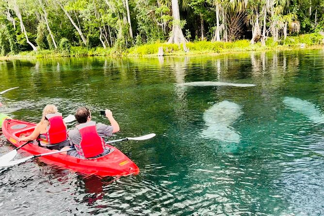 Manatees, Monkeys and Florida Natural Spring Adventure Tour - Key Points
