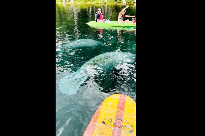 Manatees, Monkeys and Florida Natural Spring Adventure Tour - Pricing and Value