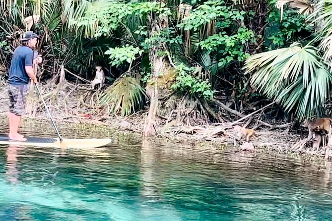 Manatees, Monkeys and Florida Natural Spring Adventure Tour - Who Would Love This Tour?