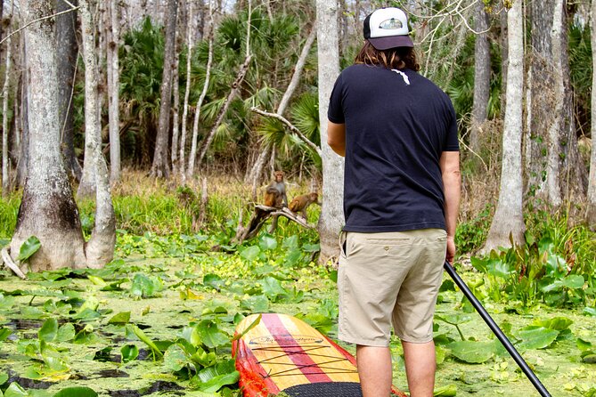Manatees, Monkeys and Florida Natural Spring Adventure Tour - Final Thoughts