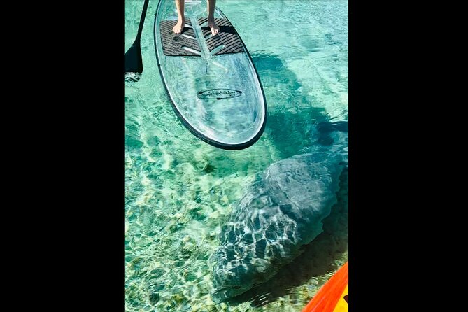 Manatees, Monkeys and Florida Natural Spring Adventure Tour - FAQ