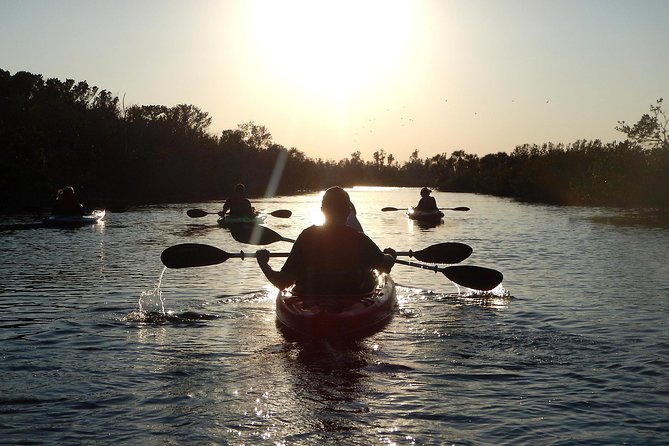 Manatees/Sunset/Bioluminescence Tour - Manatees, Sunset, and Bioluminescence Kayak Tour: A Deep Dive into Floridas Natural Beauty