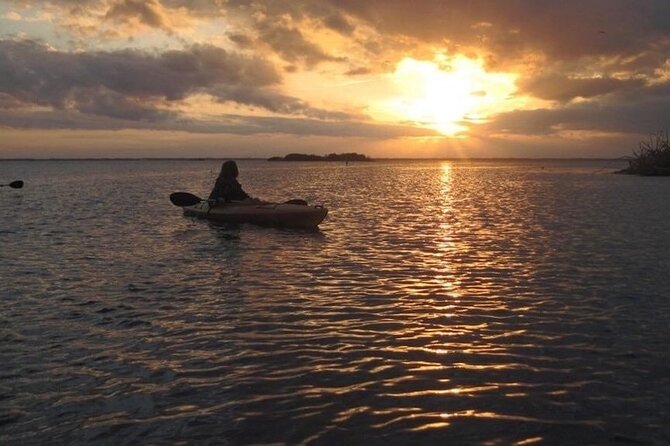 Manatees/Sunset/Bioluminescence Tour - Overview: Why This Tour is a Standout