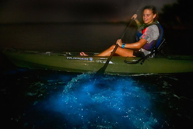 Manatees/Sunset/Bioluminescence Tour - Practical Tips for a Great Experience