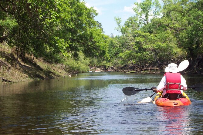 Manatees/Sunset/Bioluminescence Tour - The Sum Up: Who Will Love This Tour?