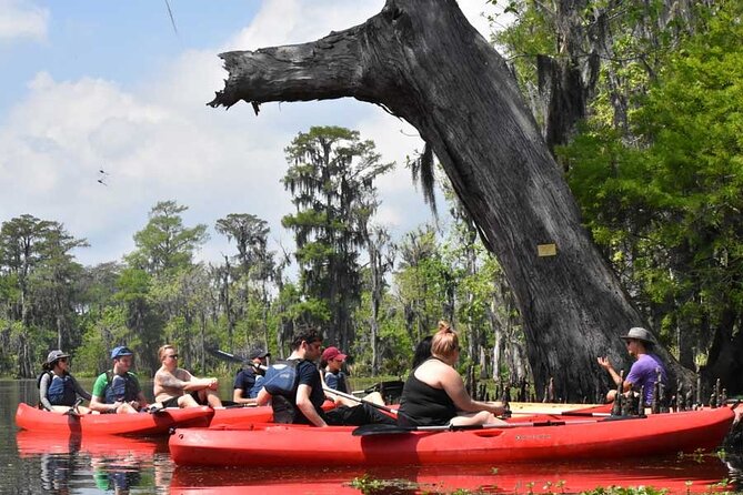 Manchac Swamp EXTENDED Kayak Tour with Pickup - Exploring the Manchac Swamp Kayak Tour