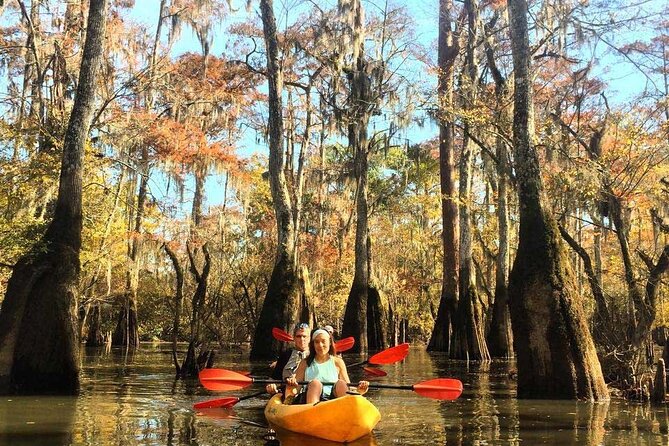 Manchac Swamp EXTENDED Kayak Tour with Pickup - What Makes This Tour Special?