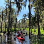 Manchac Swamp EXTENDED Kayak Tour with Pickup - Practical Tips for Future Paddlers