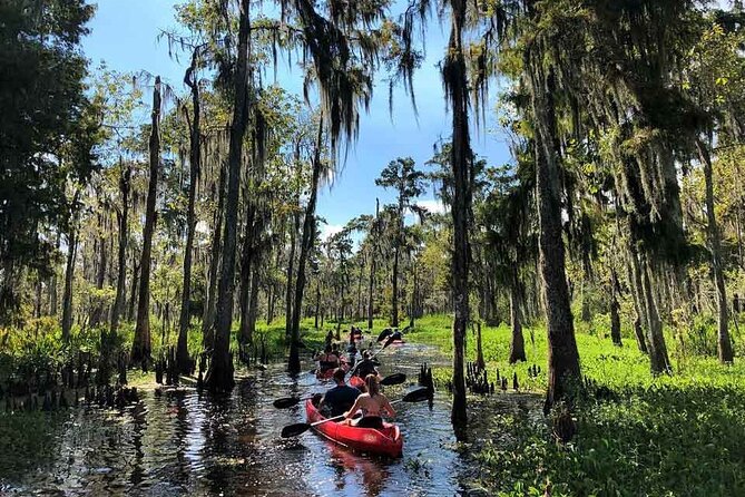 Manchac Swamp EXTENDED Kayak Tour with Pickup - Practical Tips for Future Paddlers