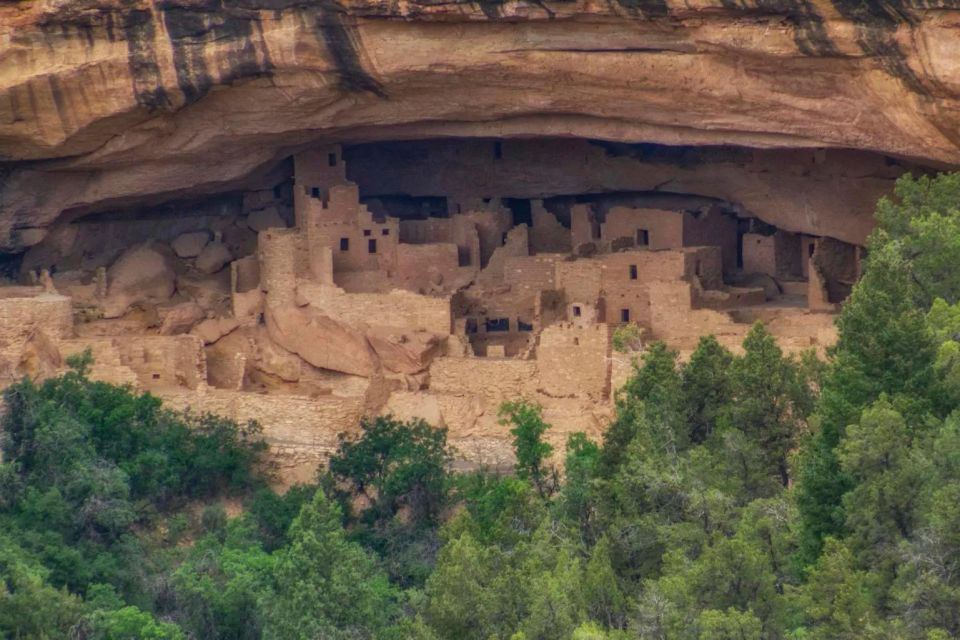 Mancos: Mesa Verde National Park Half-Day Tour - The Guides: Knowledge, Enthusiasm, and a Personal Touch