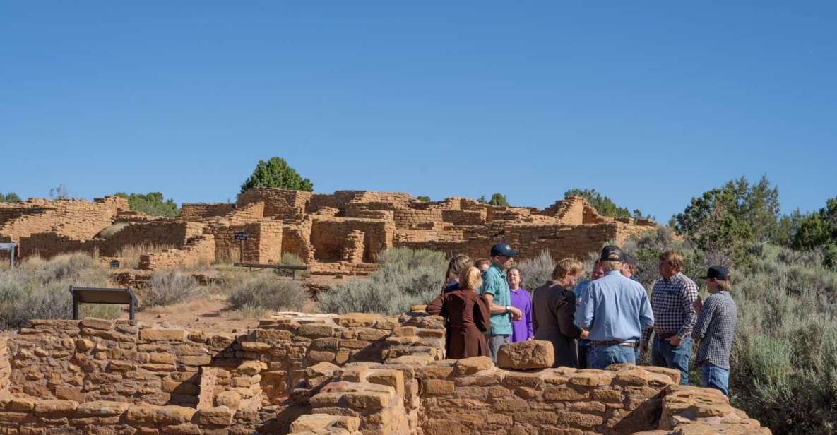 Mancos: Mesa Verde National Park Half-Day Tour - Transportation and Logistics