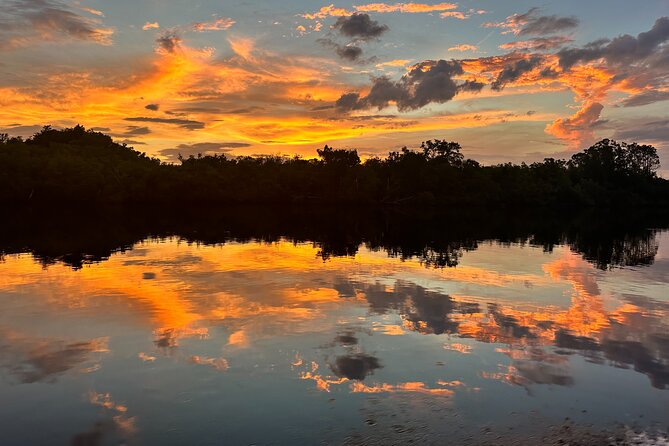 Mangrove and Gulf Excursion Tour - Key Points