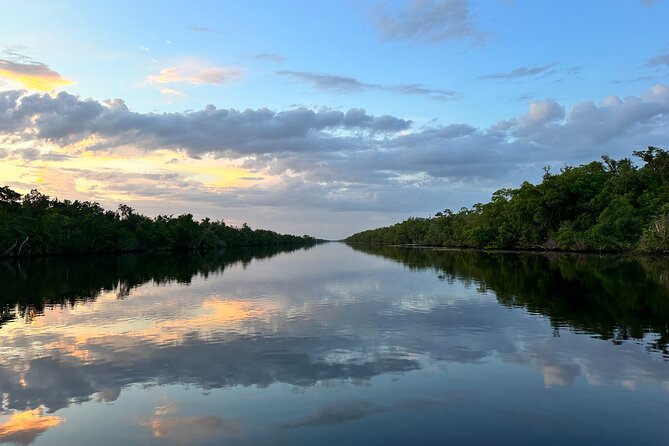 Mangrove and Gulf Excursion Tour - Value and Price Analysis