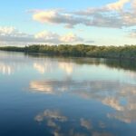 Mangrove and Gulf Excursion Tour - What Travelers Say (Based on reviews)
