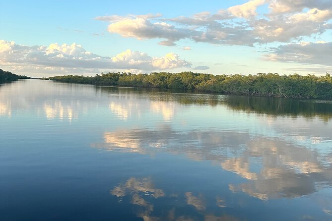 Mangrove and Gulf Excursion Tour - What Travelers Say (Based on reviews)
