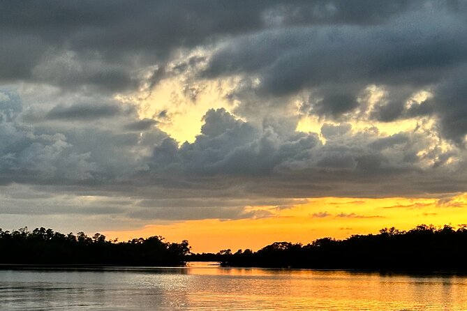 Mangrove and Gulf Excursion Tour - Who Should Consider This Tour?